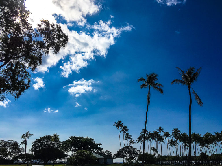 January in Honolulu